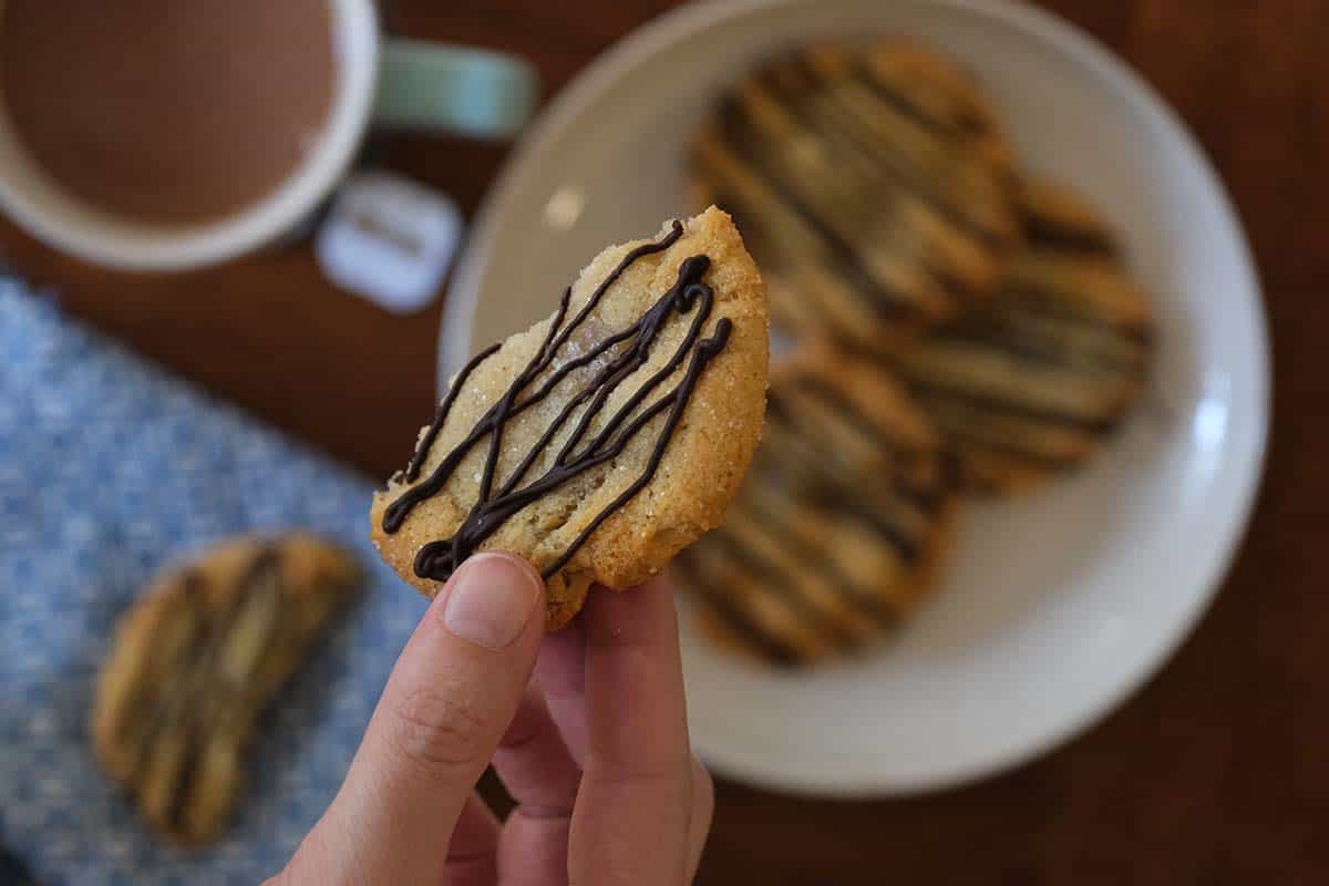 Triple Ginger Cookie Recipe with Dark Chocolate Drizzle
